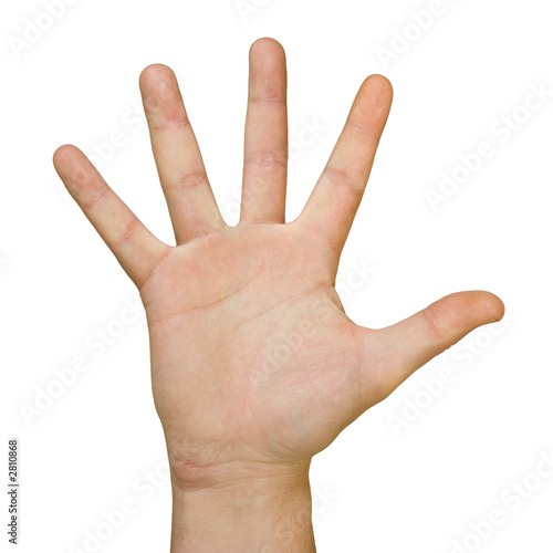 palm hand 手绘,lm,pd手绘_大山谷图库