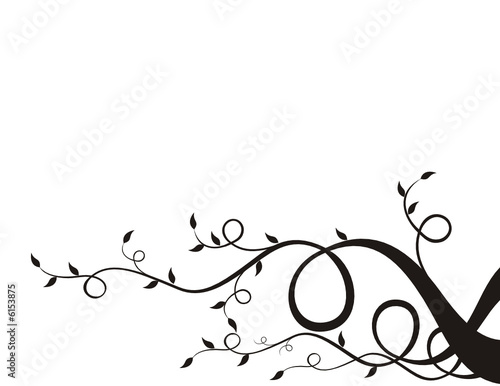 Formato de enredadera vector - Imagui