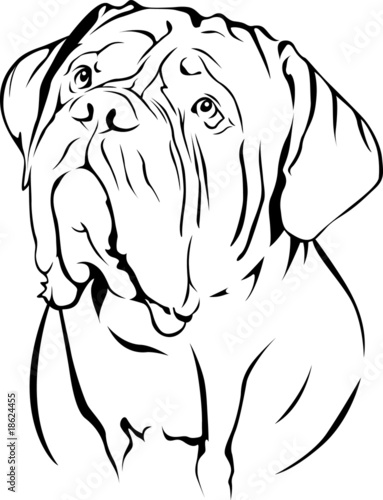 Dogue De Bordeaux Drawing Sketch Coloring Page