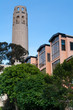 Free Stock photo of View of San Francsico from The Coit Tower ...