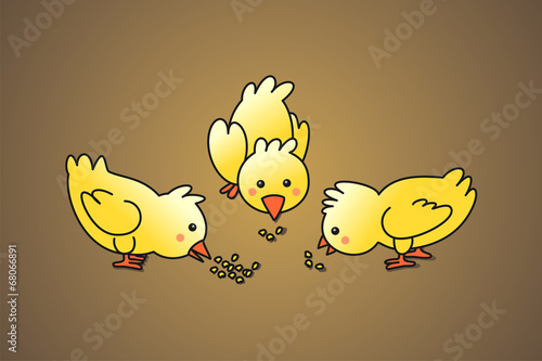 Pollito comiendo maiz - Imagui