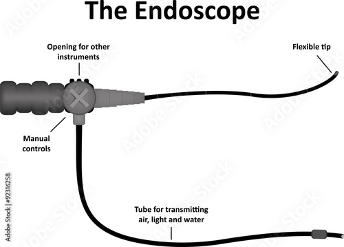 "The Endoscope Labelled Diagram" Stock photo and royalty-free images on ...